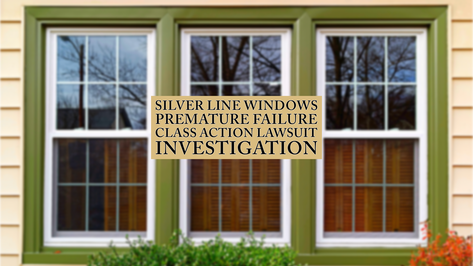 Silver Line Windows Premature Failure Class Action Lawsuit ...